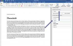 Korrekte Absatzformate in WORD | Edition Blaes