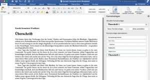 Korrekte Absatzformate in WORD | Edition Blaes