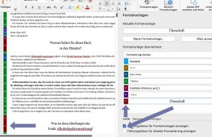 Korrekte Absatzformate in WORD | Edition Blaes